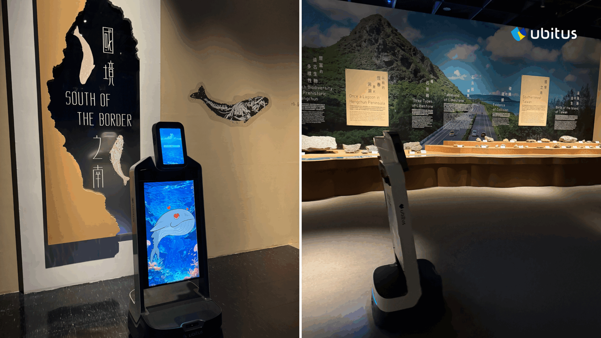 Ubitus and NMNS Launch AI-Powered Virtual Guide to Explore the World of Whales | UBITUS